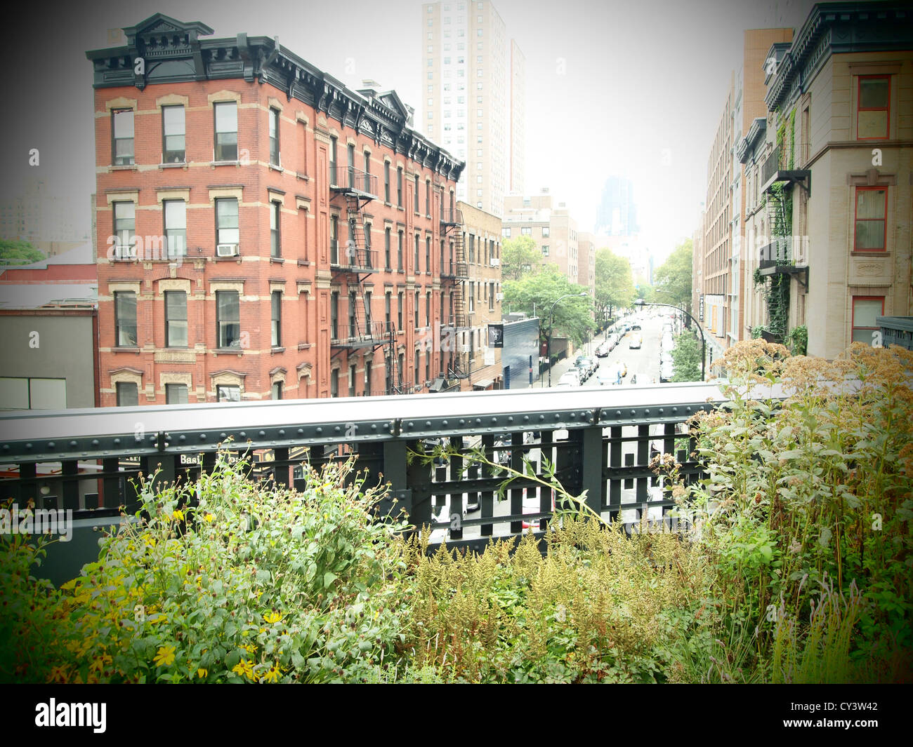 The High Line New York City Stock Photo - Alamy