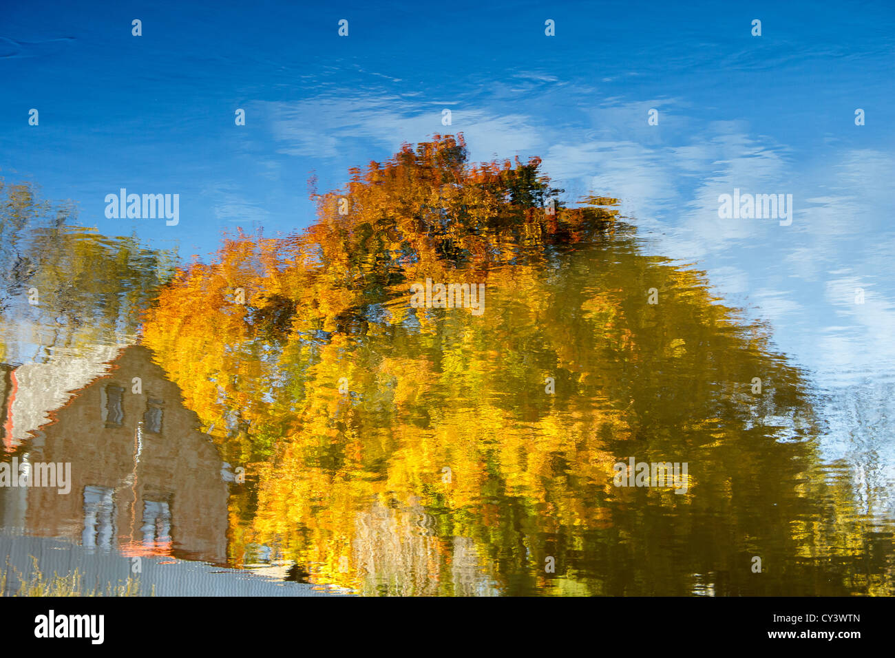 Realistic rural water reflection in the pond rotated 180 degrees Stock ...