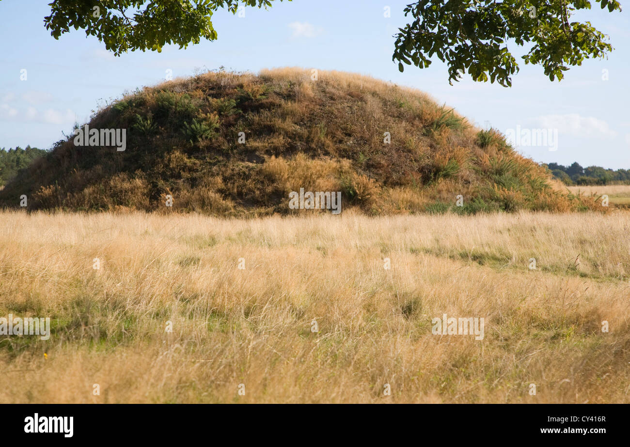 Burial mound Anglo Saxon cemetery Sutton Hoo, Suffolk, England Stock ...