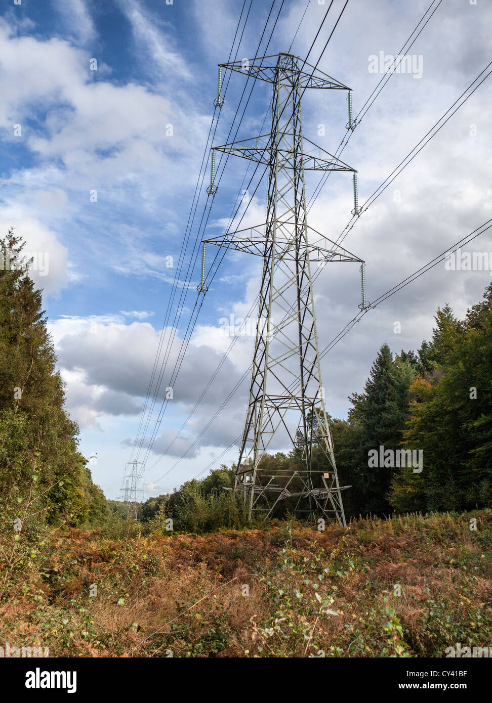 Electricity pylon forest trees hi-res stock photography and images - Alamy