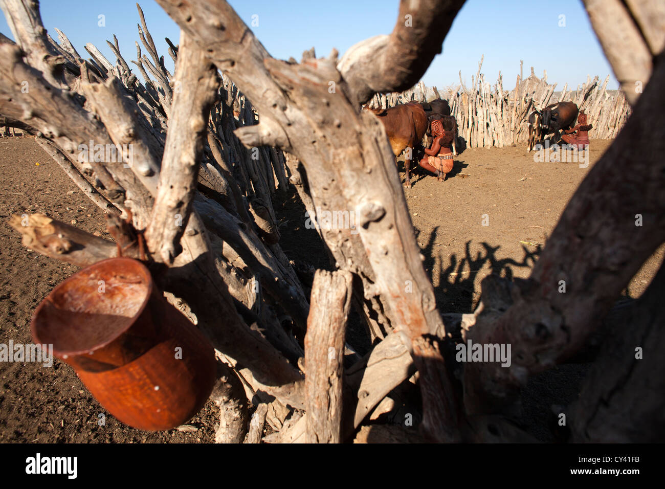 Himba tribe in Namibia Stock Photo - Alamy