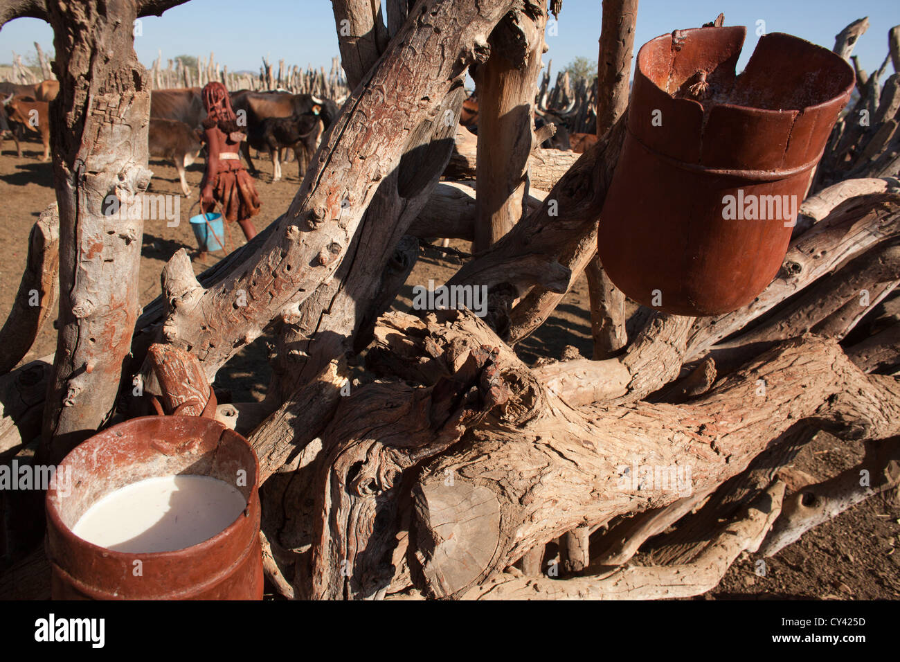 Himba tribe in Namibia Stock Photo - Alamy