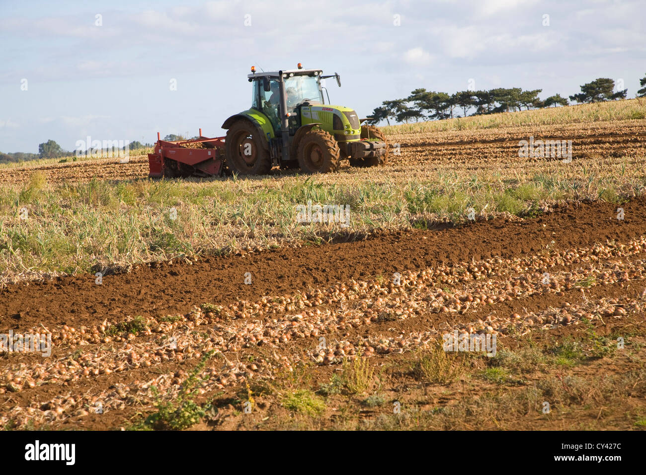 Lifting onion hi-res stock photography and images - Alamy