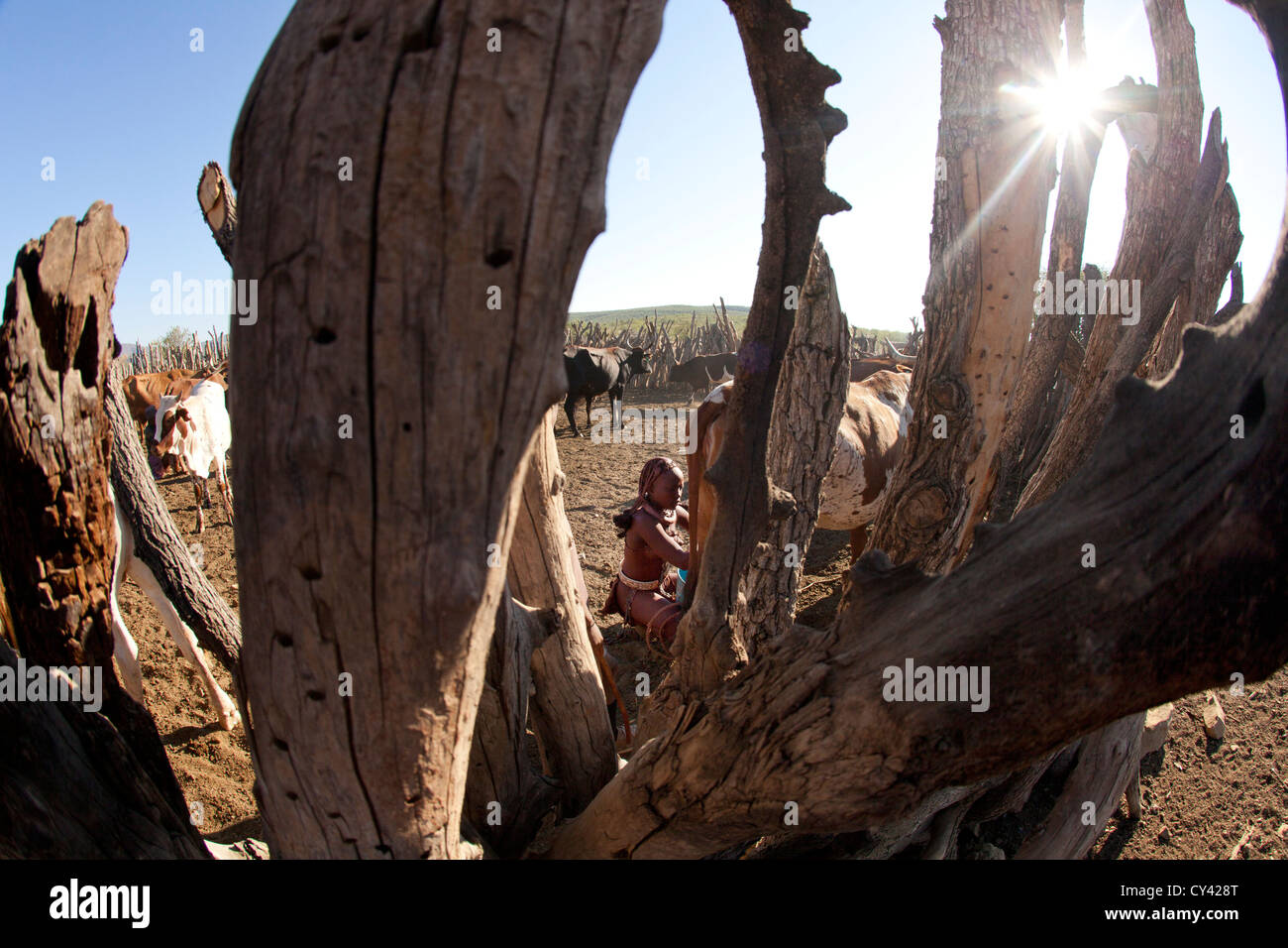 Himba tribe in Namibia Stock Photo - Alamy
