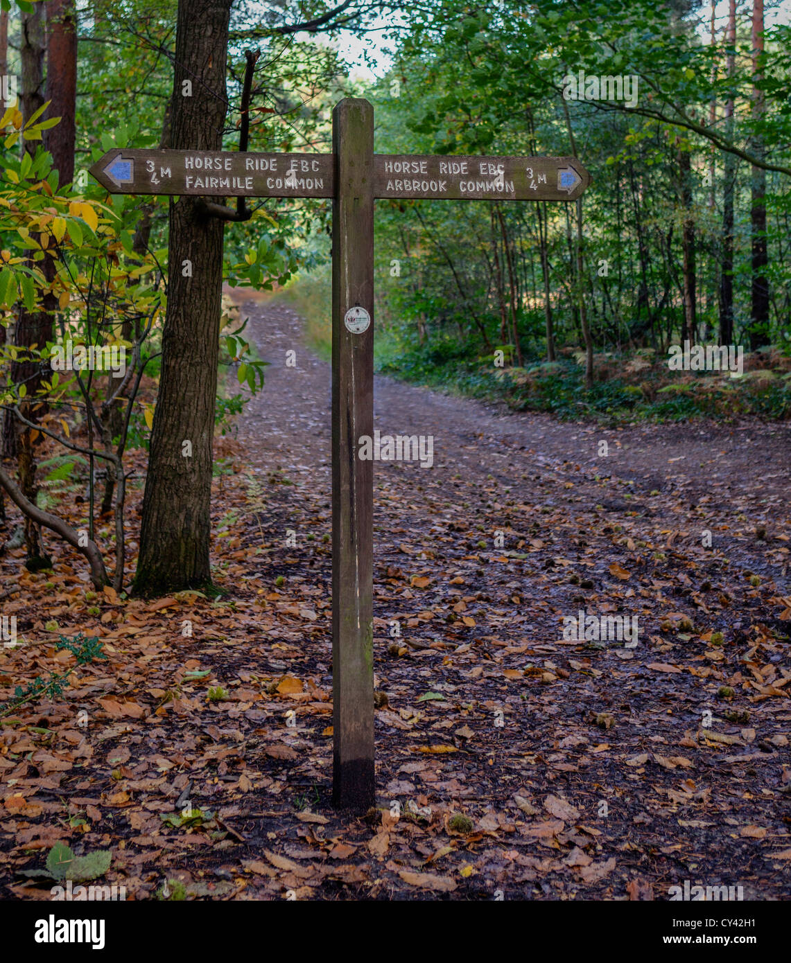 Wooden sign post marking the way to Arbrook Common and Fairmile Common ...