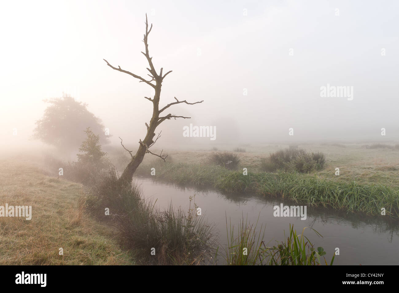 Mist hangs in the river valley hi-res stock photography and images - Alamy
