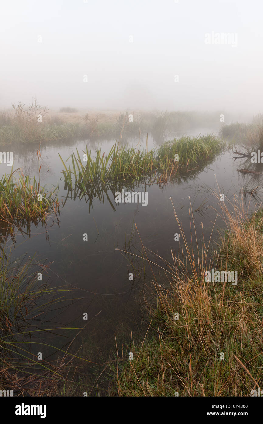Mist hangs in the river valley hi-res stock photography and images - Alamy