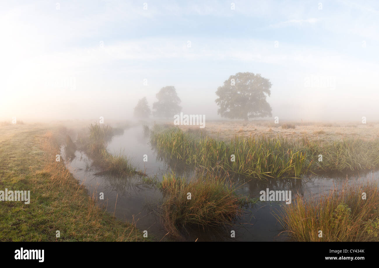 Fog foggy low above ground hi-res stock photography and images - Alamy