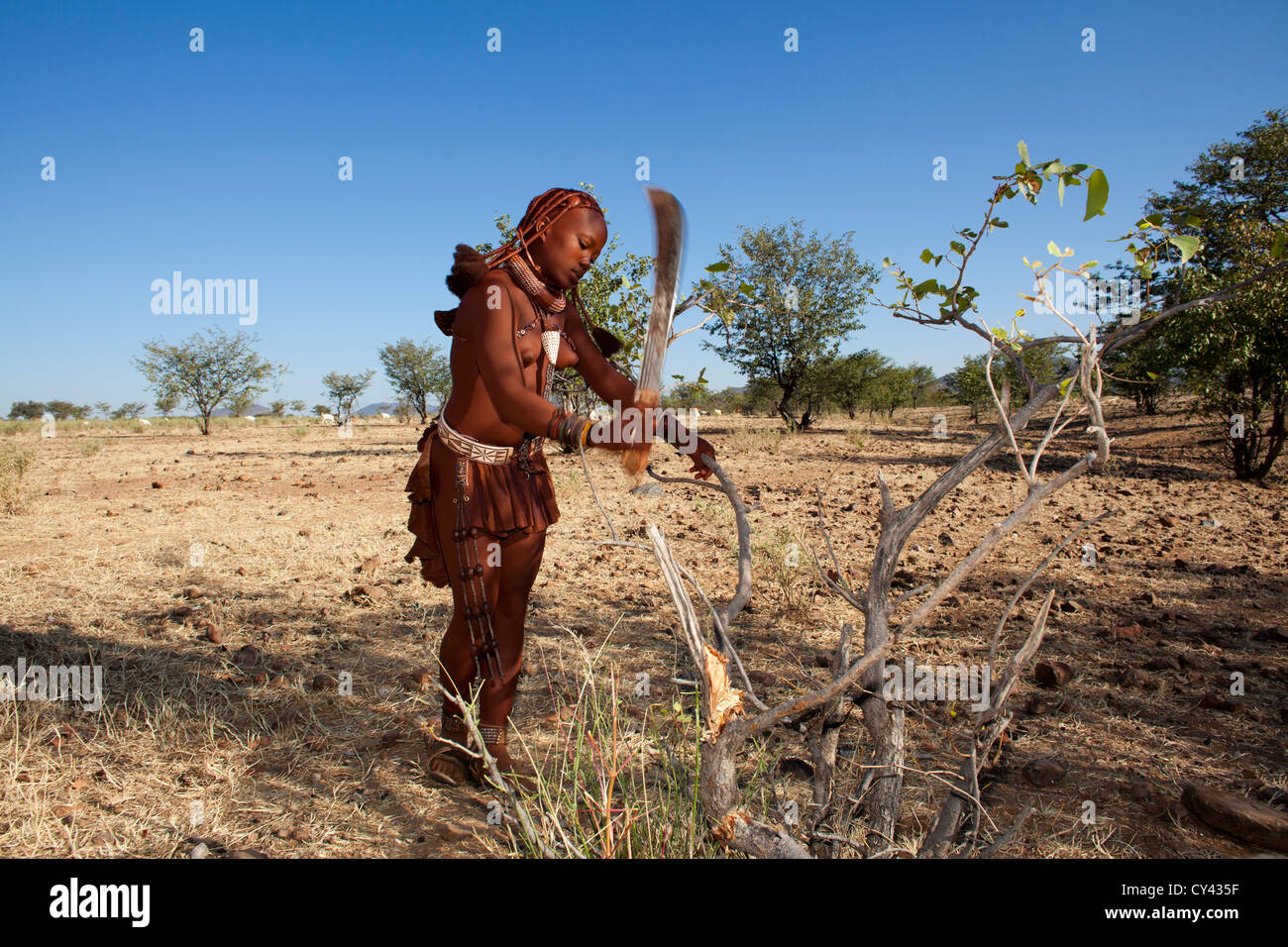 Himba tribe in Namibia Stock Photo - Alamy