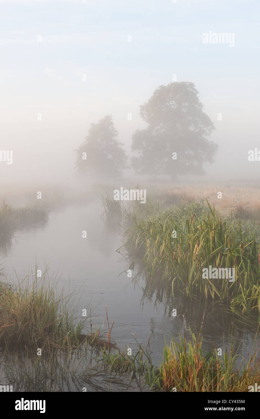 Mist hangs in the river valley hi-res stock photography and images - Alamy