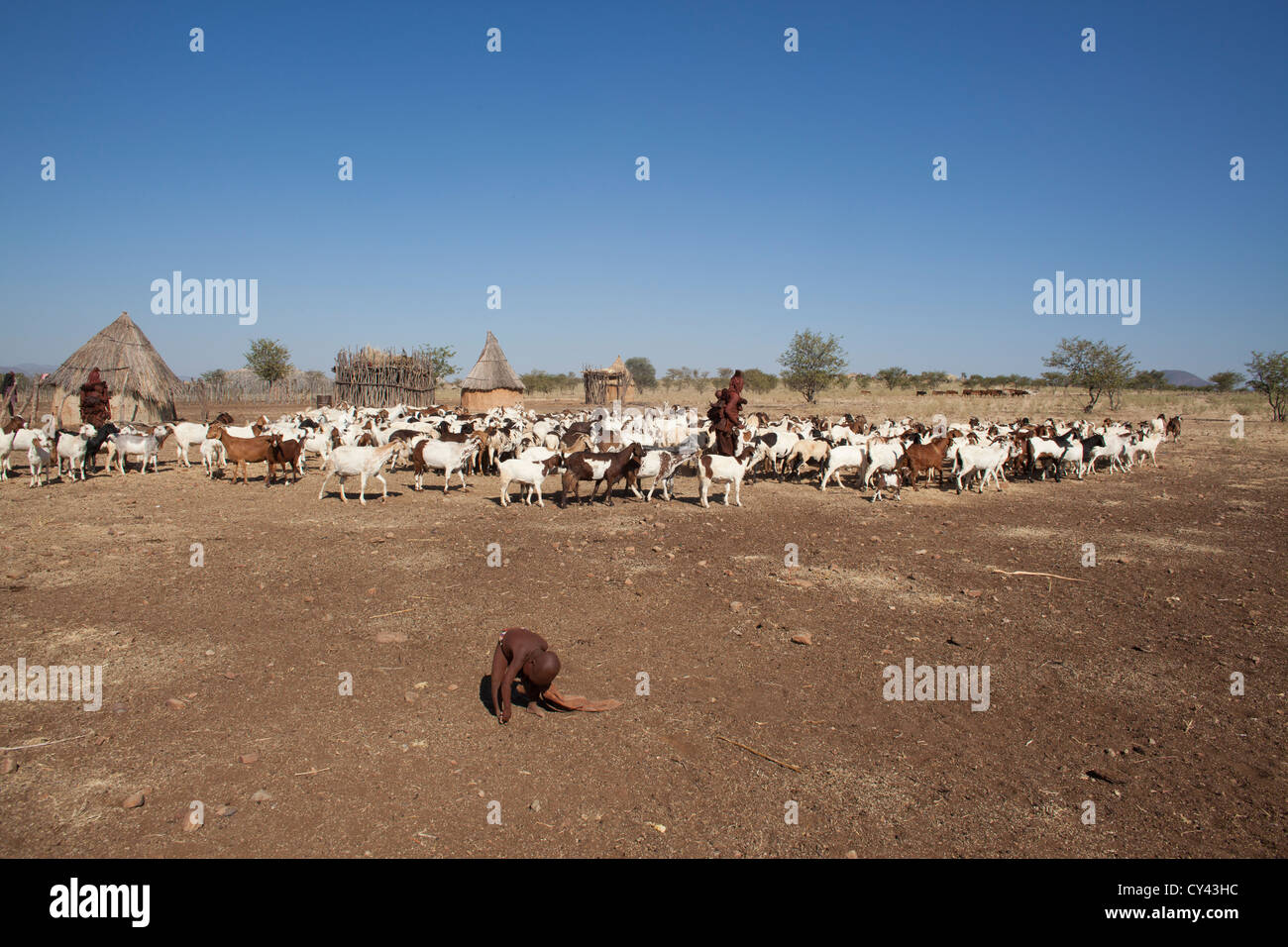 Himba tribe in Namibia Stock Photo - Alamy