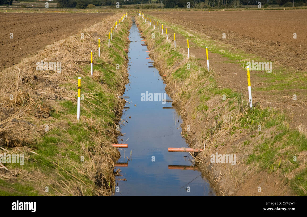 Newly renovated drainage ditch Hollesley, Suffolk, England Stock Photo ...