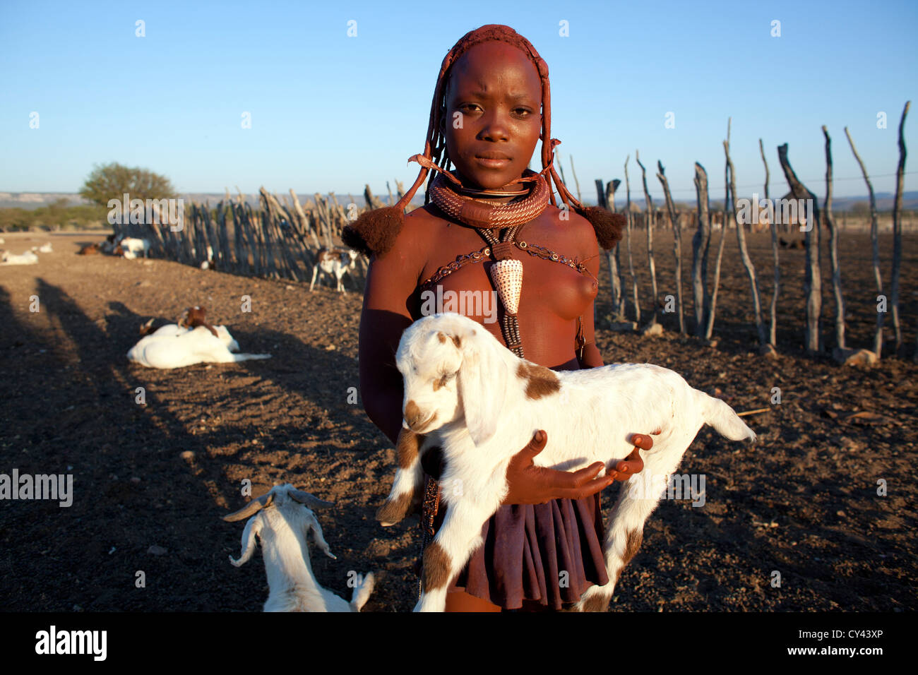 Himba tribe in Namibia Stock Photo - Alamy