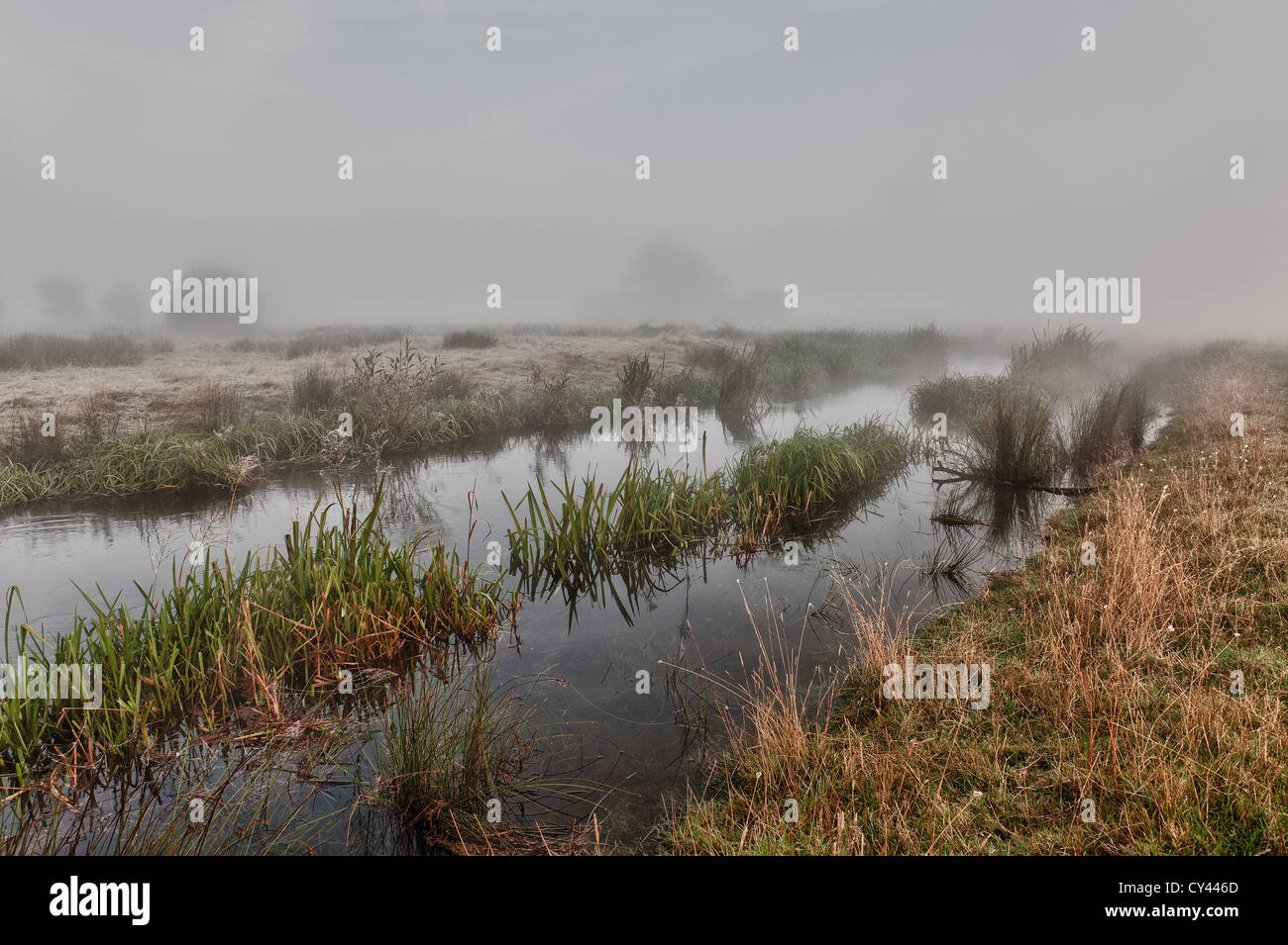 Rising ground stands hi-res stock photography and images - Alamy