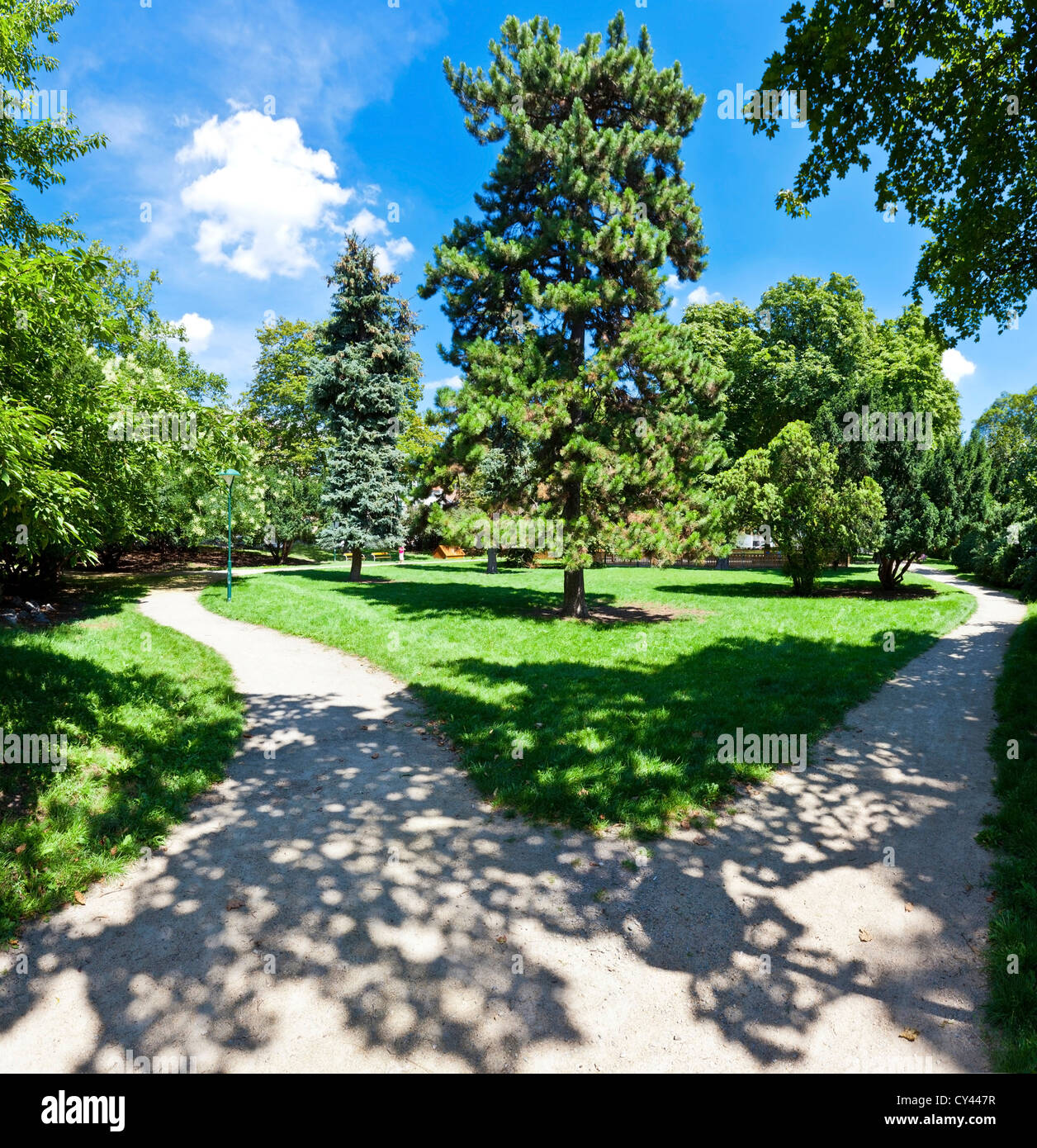 A beautiful park on a sunny day with path splitting which may symbolize ...