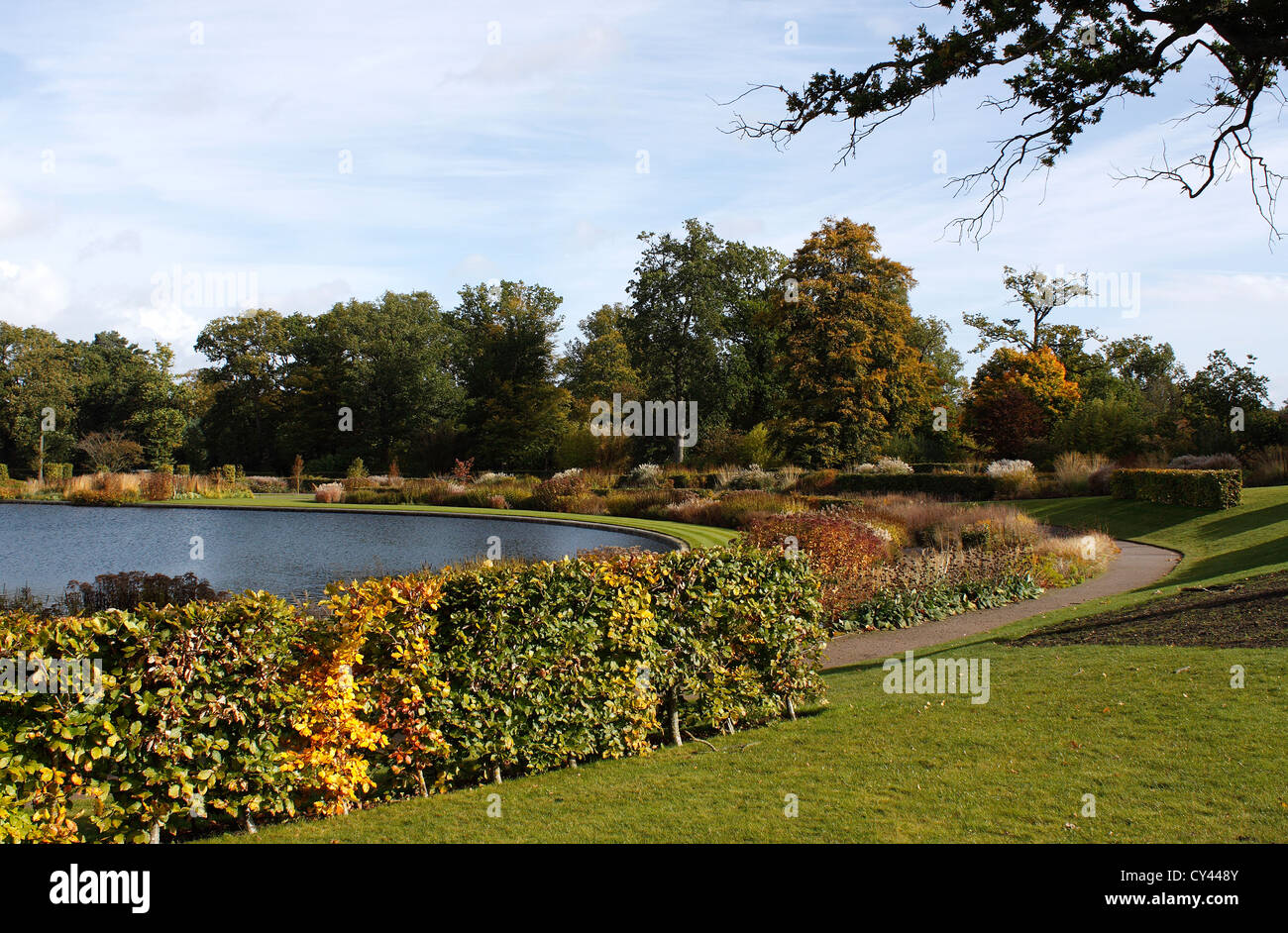 Autumn surrey landscape hi-res stock photography and images - Alamy
