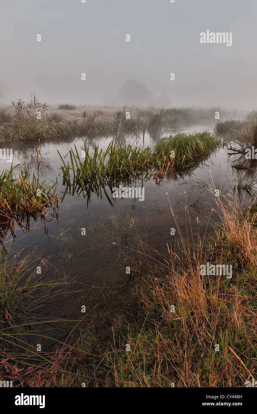 Mist hangs in the river valley hi-res stock photography and images - Alamy