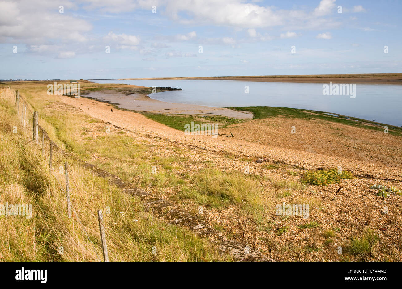 Saltings salt marsh environment River Ore, Hollesley, Suffolk, England ...