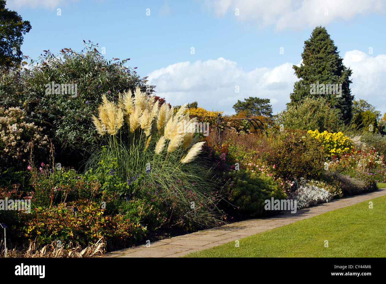 Autumn border grasses red orange hi-res stock photography and images ...