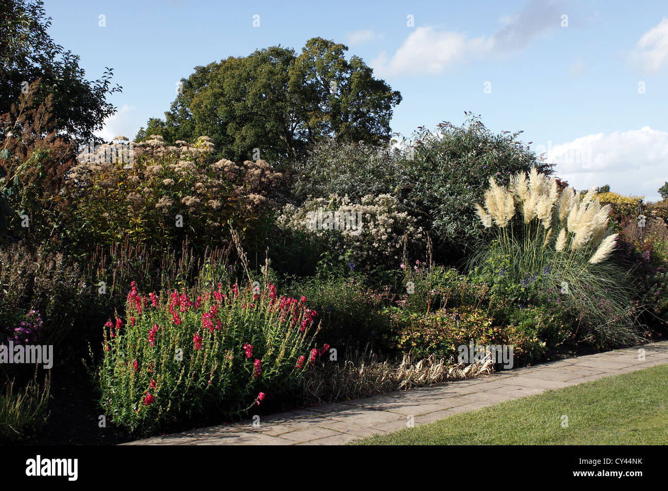 Mixed grasses border hi-res stock photography and images - Alamy