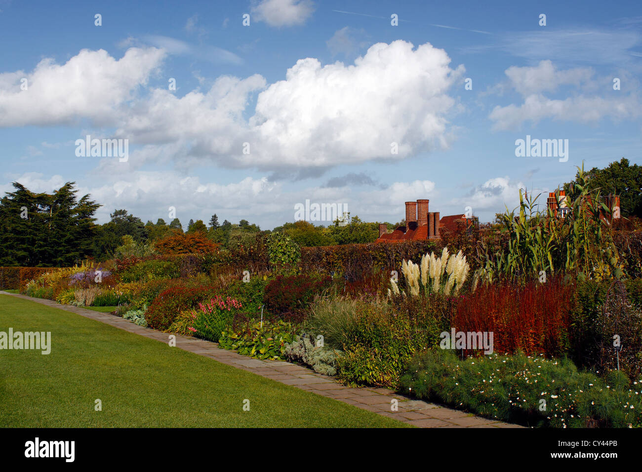 Plants for mixed borders hi-res stock photography and images - Alamy