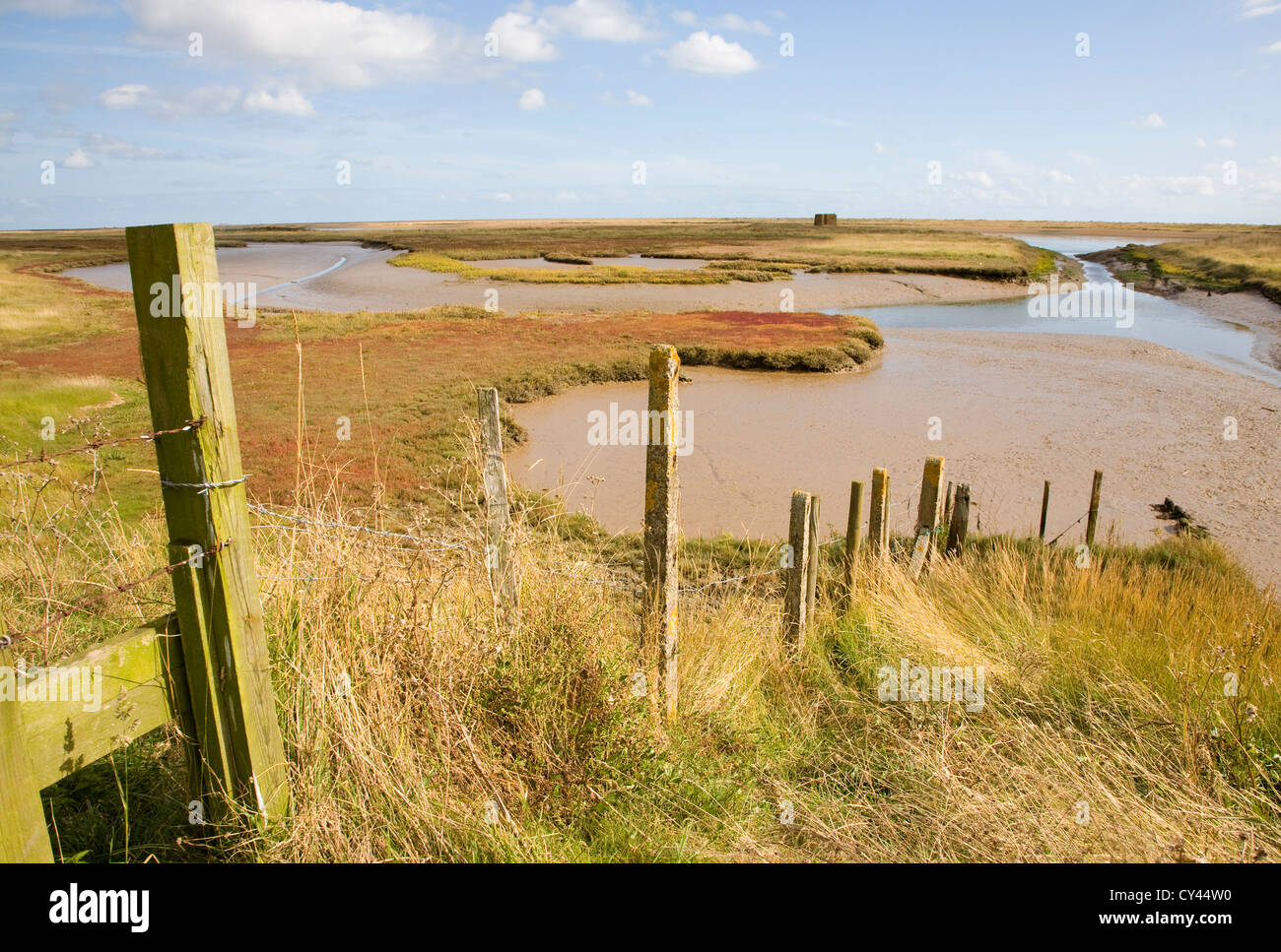Saltings salt marsh environment River Ore, Hollesley, Suffolk, England ...
