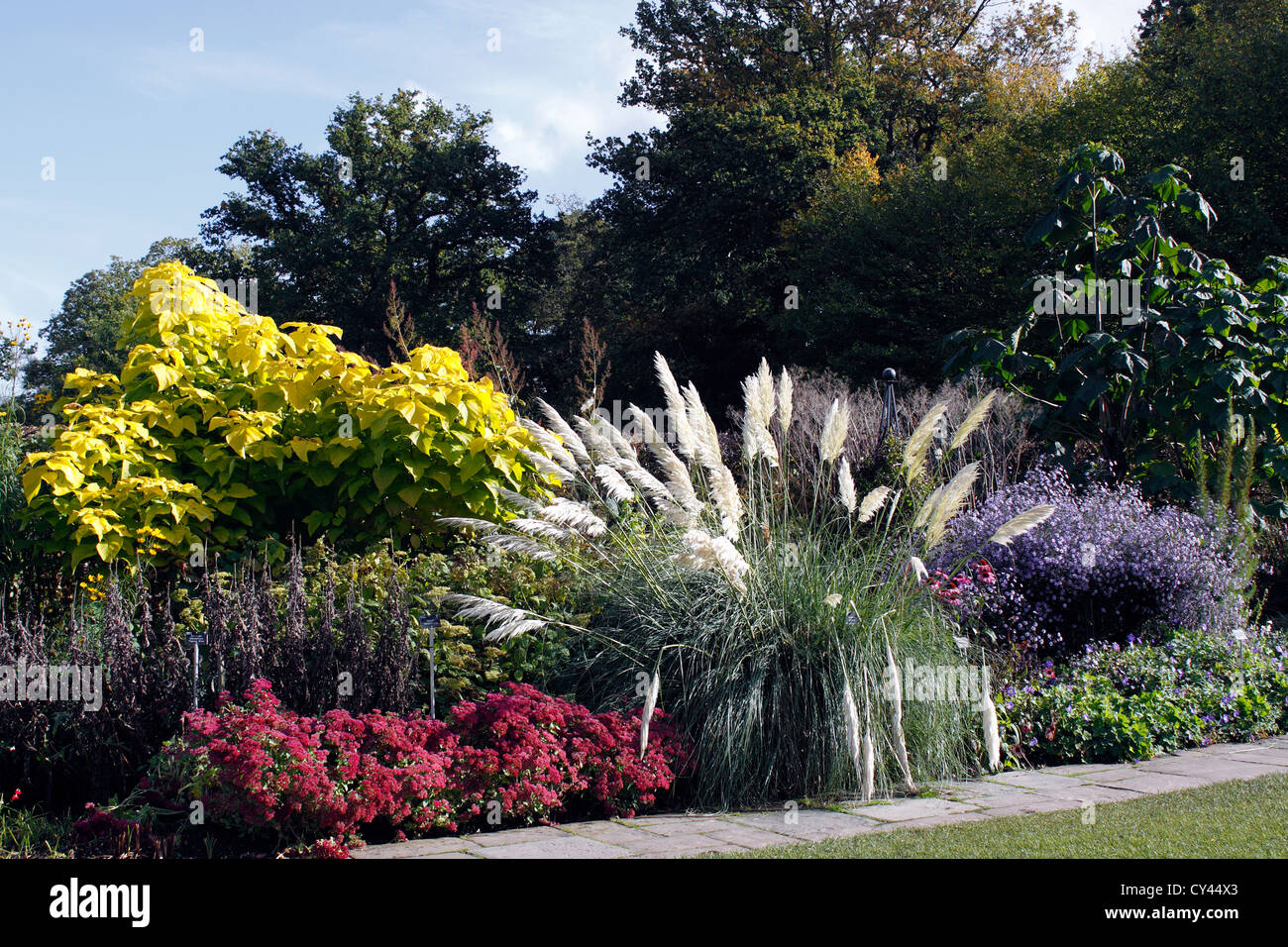 RHS WISLEY. SURREY UK. MIXED AUTUMN BORDERS Stock Photo - Alamy