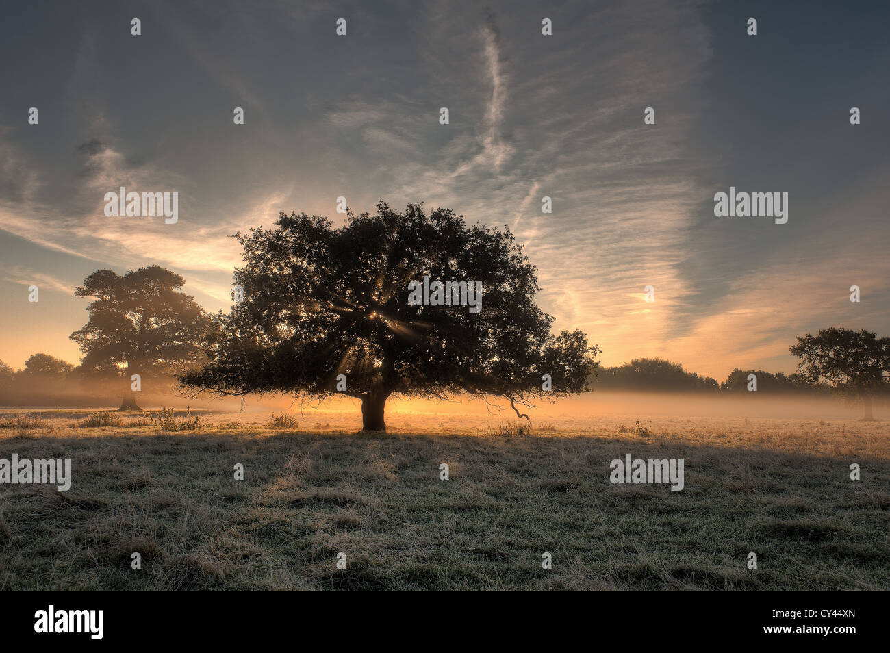 Mist hangs in the river valley hi-res stock photography and images - Alamy