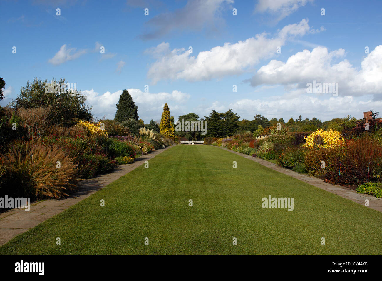 Plants for mixed borders hi-res stock photography and images - Alamy