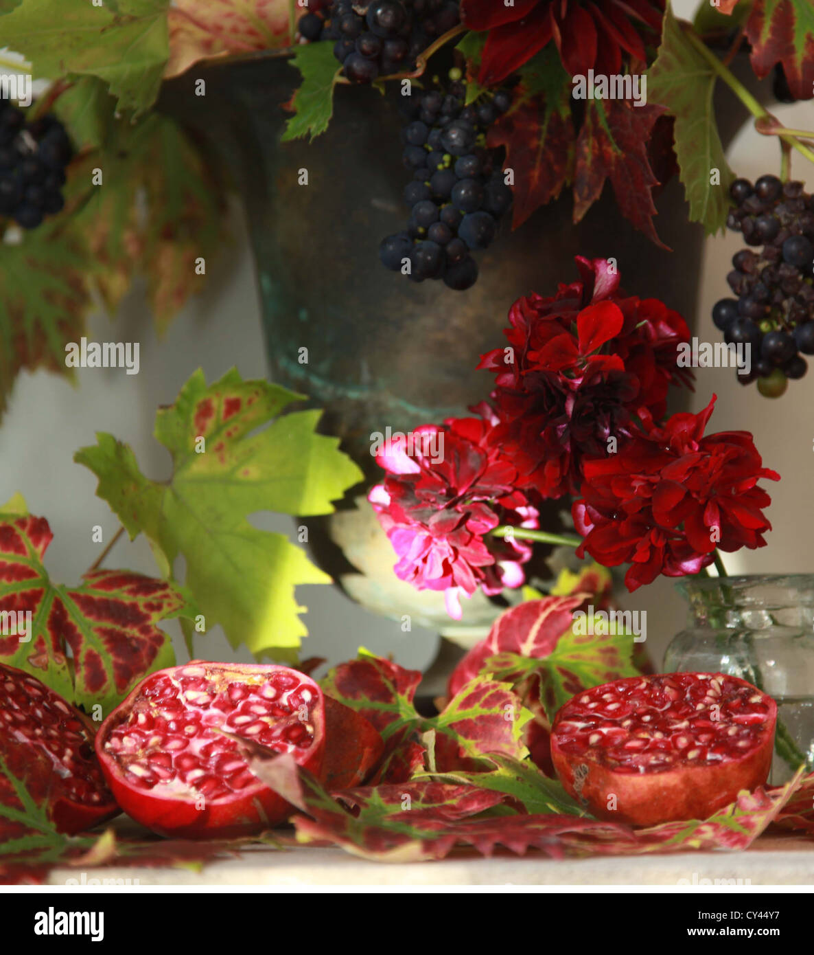 pomegranate and grapes Stock Photo - Alamy