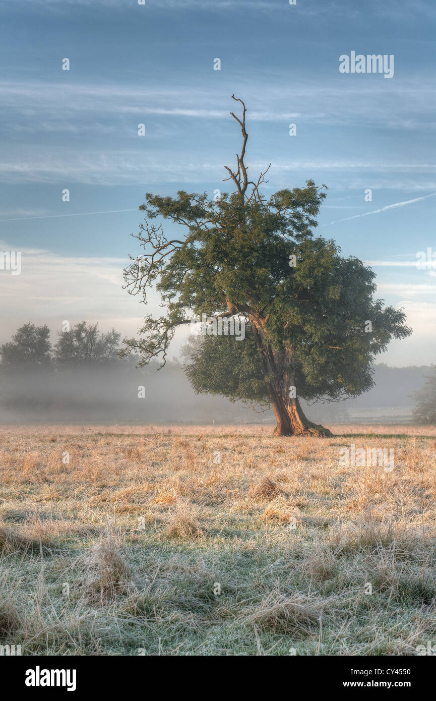 River rushes through deep hi-res stock photography and images - Alamy