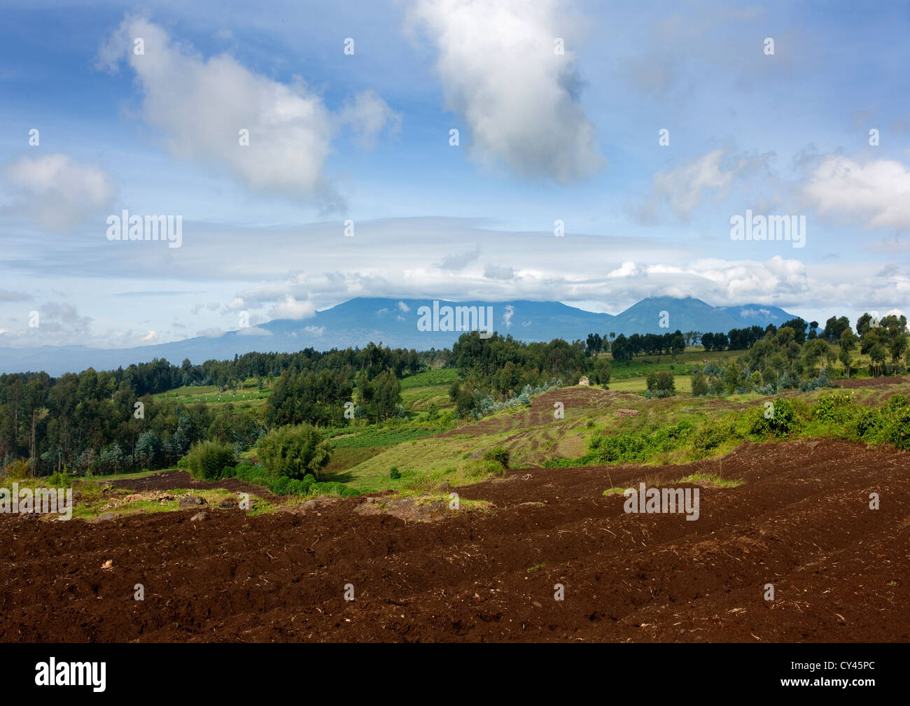 Volcanoes National Park - Rwanda Stock Photo - Alamy