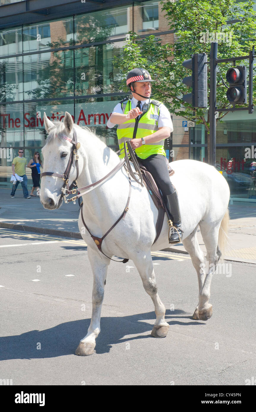 mounted police officer in London Stock Photo - Alamy