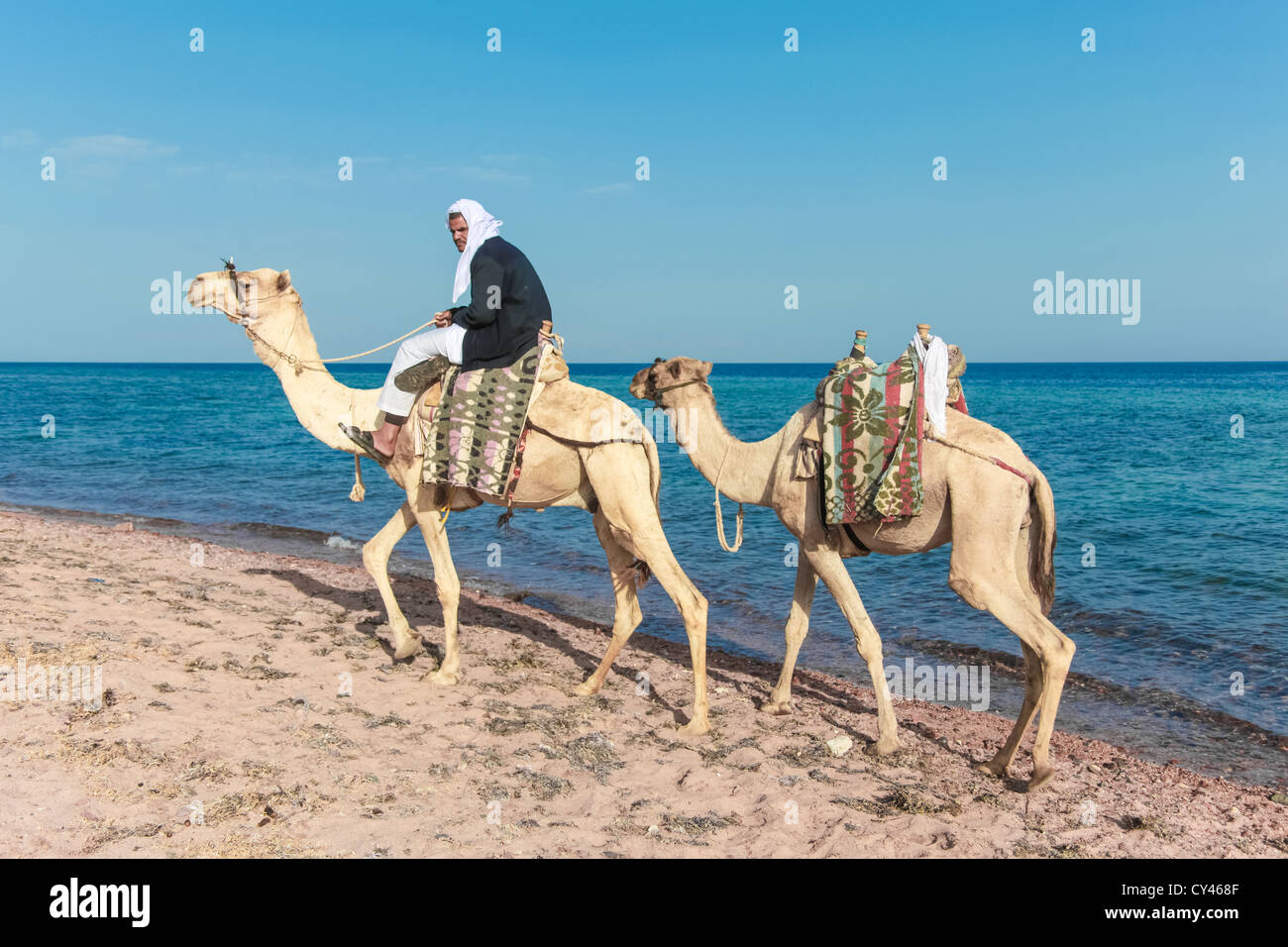 Egypt beach camel man egyptian hi-res stock photography and images - Alamy