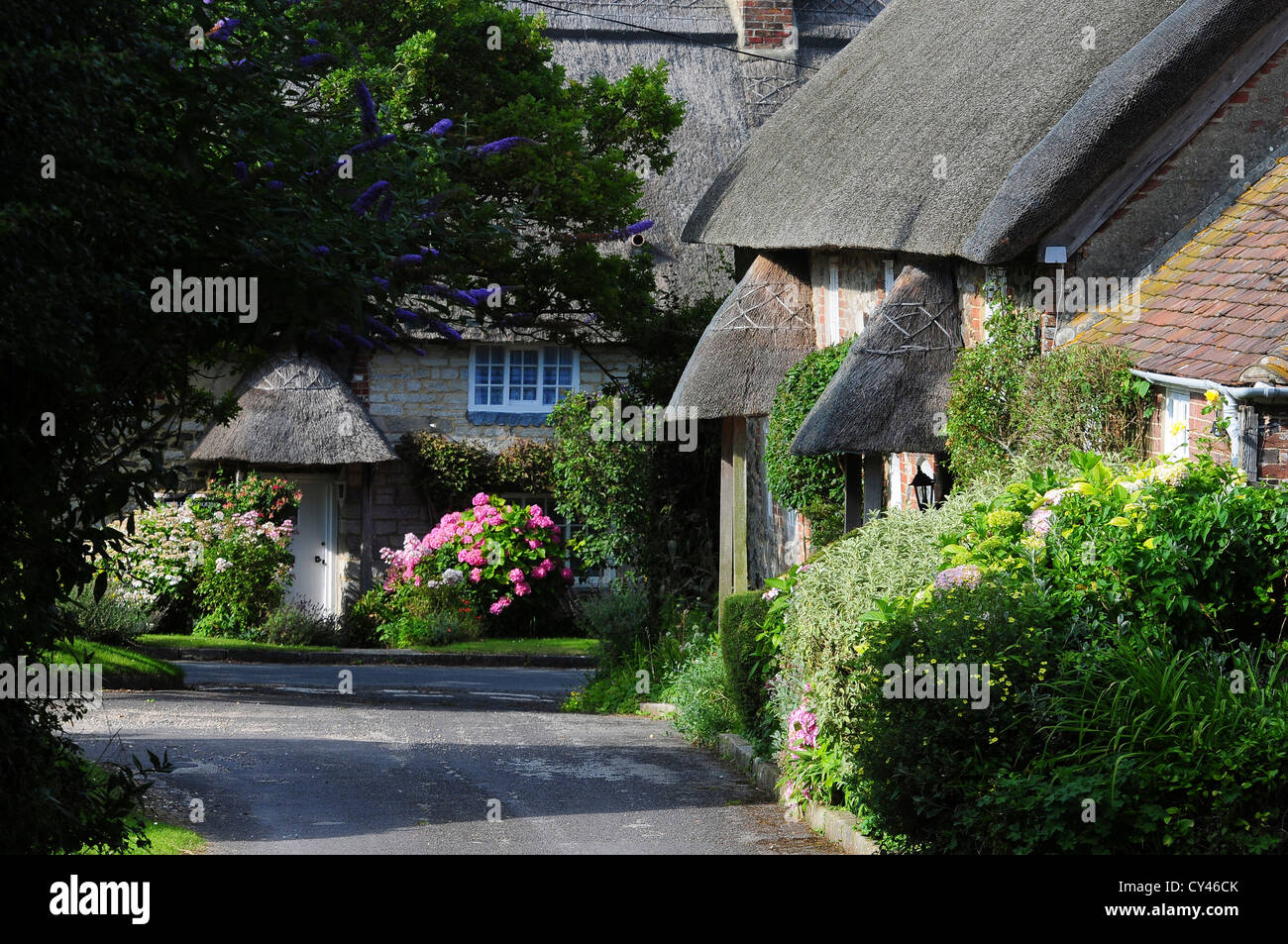 Coombe keynes hi-res stock photography and images - Alamy