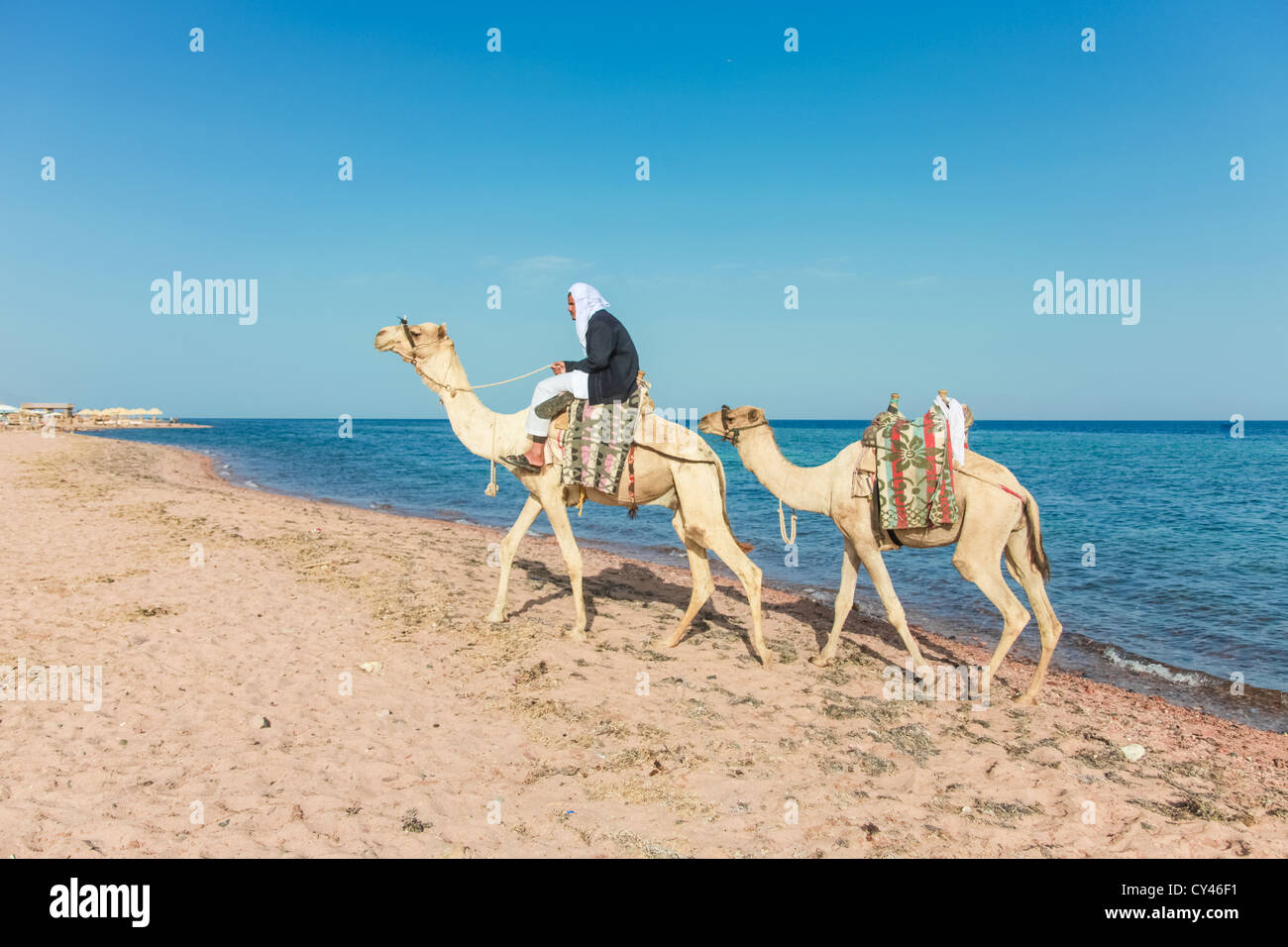 Egypt beach camel man egyptian hi-res stock photography and images - Alamy