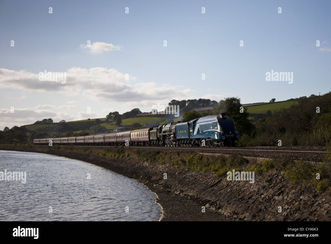 The Mayflower Steaming Along The River Teign Stock Photo - Alamy