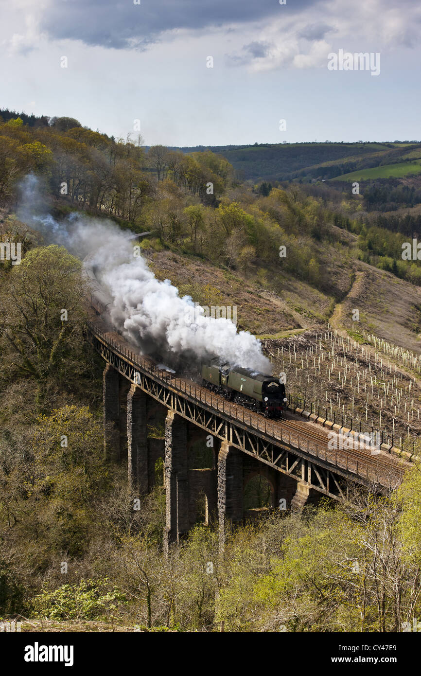 The Royal Duchy Steaming Over Largin Viaduct Stock Photo - Alamy