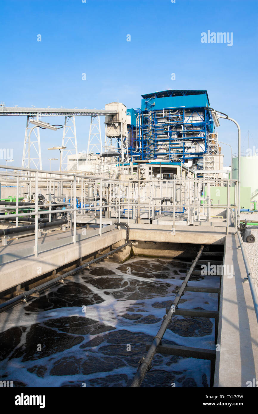 Water in the concrete pool waiting for treatment to make it clean in ...