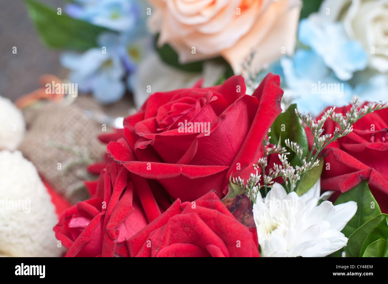 Red rose laying hi-res stock photography and images - Alamy