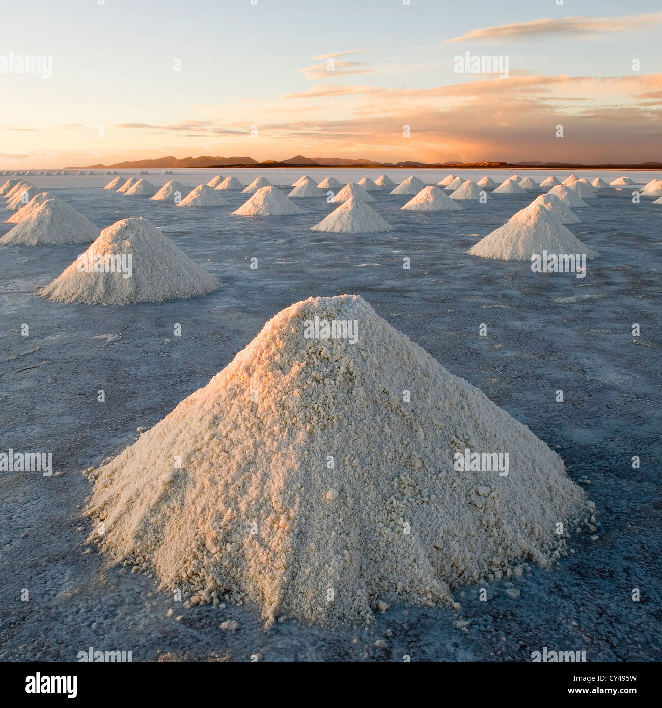Salt cones, Salar de Uyuni at sunset, Potosi, Bolivia Stock Photo - Alamy