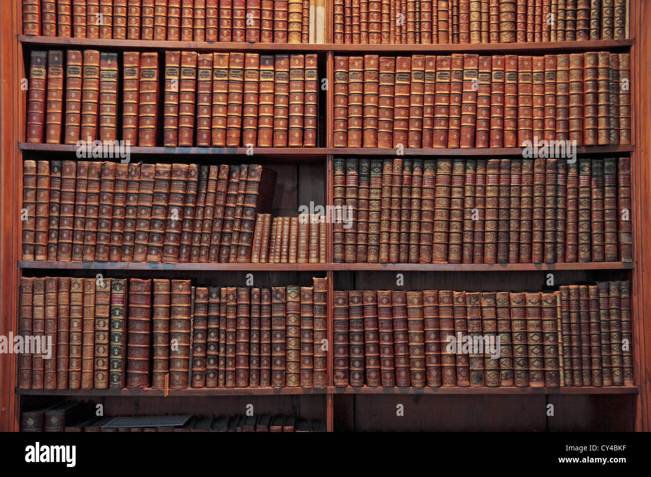 Book case in the Prunksaal Nationalbibliothek (Austrian National ...