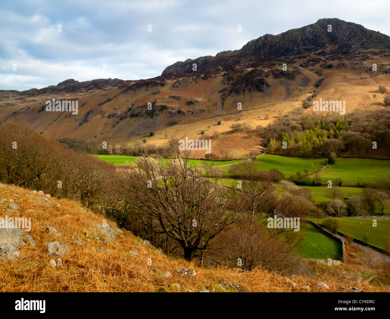 Western lake district national park hi-res stock photography and images ...