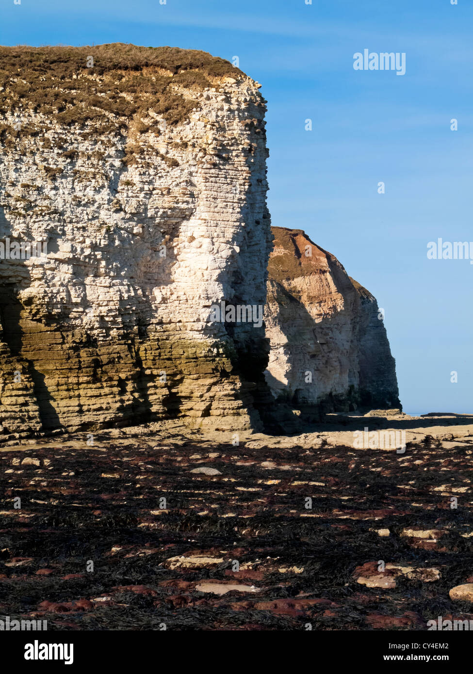 The beach and chalk cliffs at Flamborough Head on the North Yorkshire ...