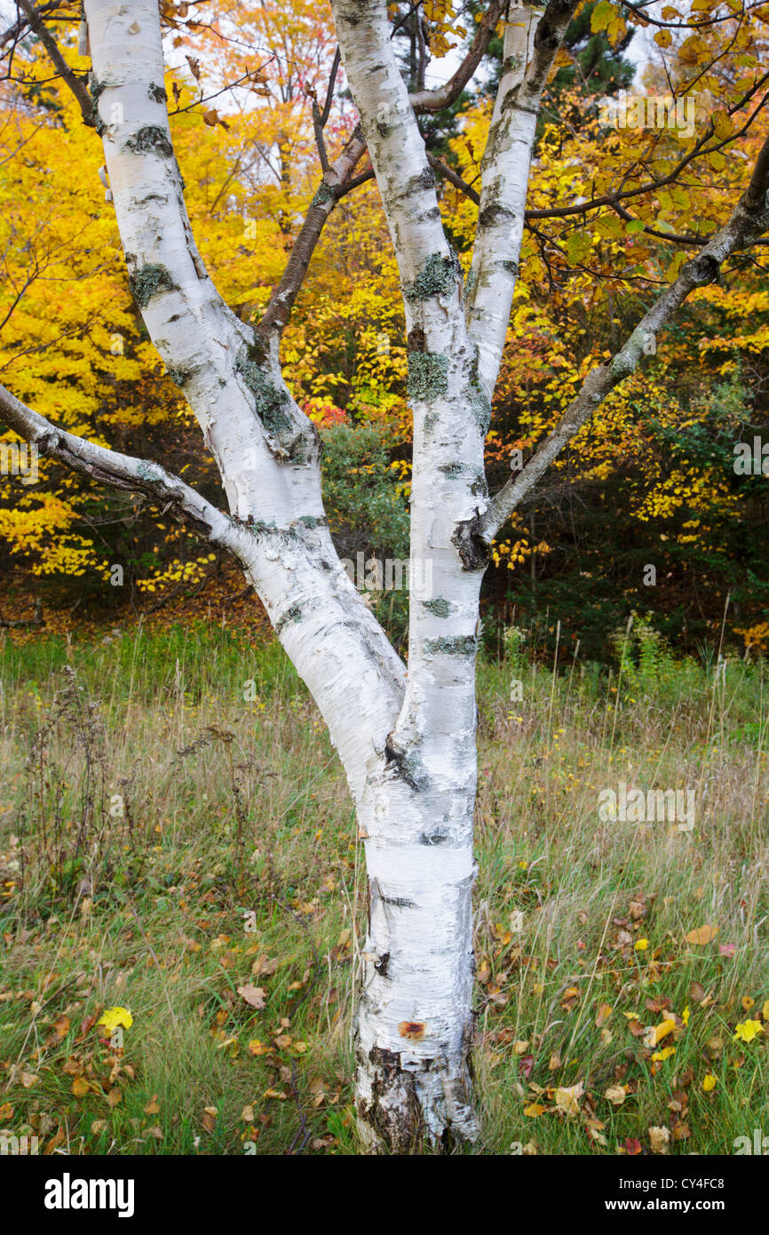 Franconia Notch State Park - Scenic view along the Franconia Notch Bike ...