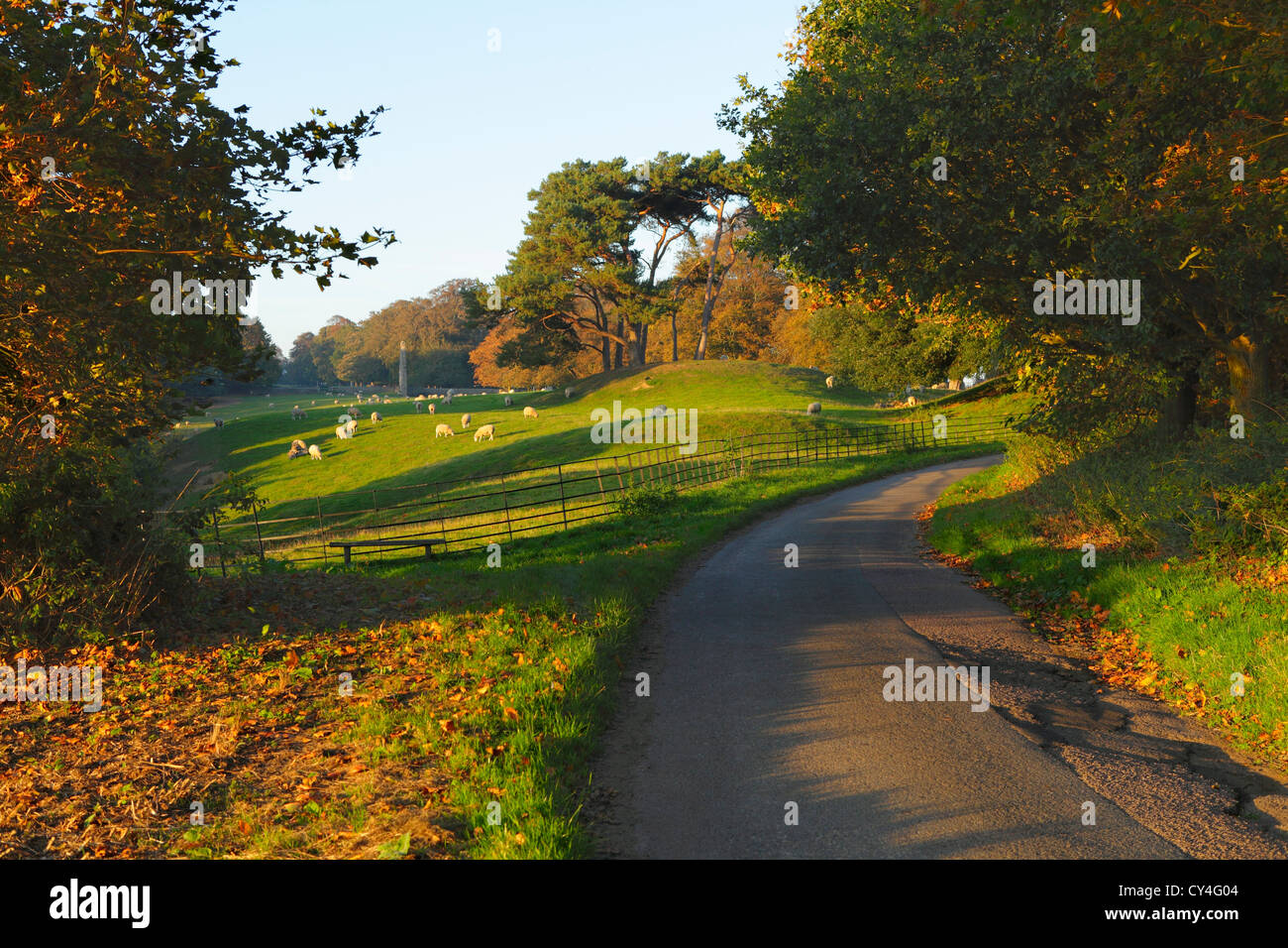 English countryside lane hi-res stock photography and images - Alamy