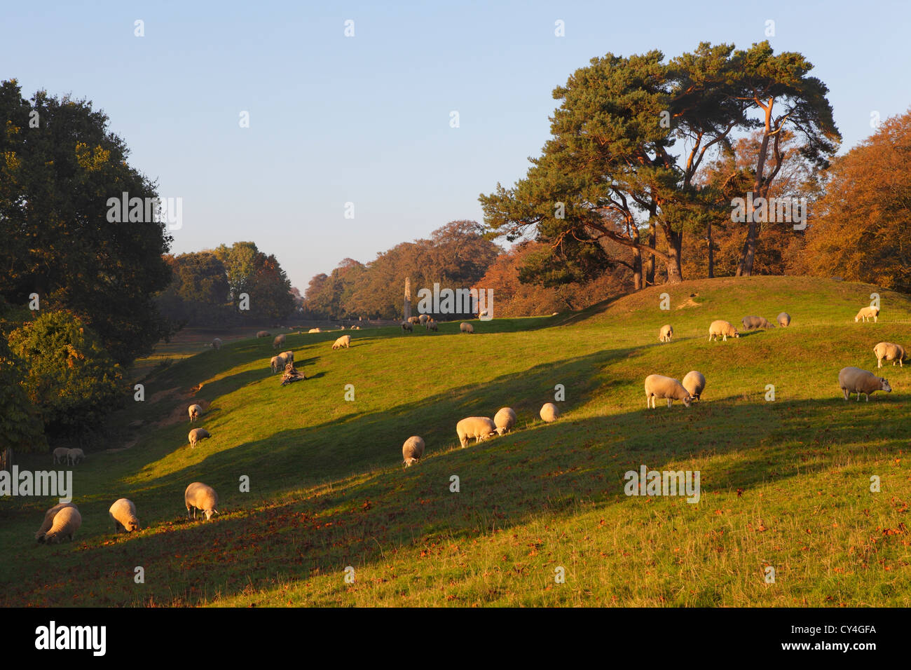 English countryside scene hi-res stock photography and images - Alamy