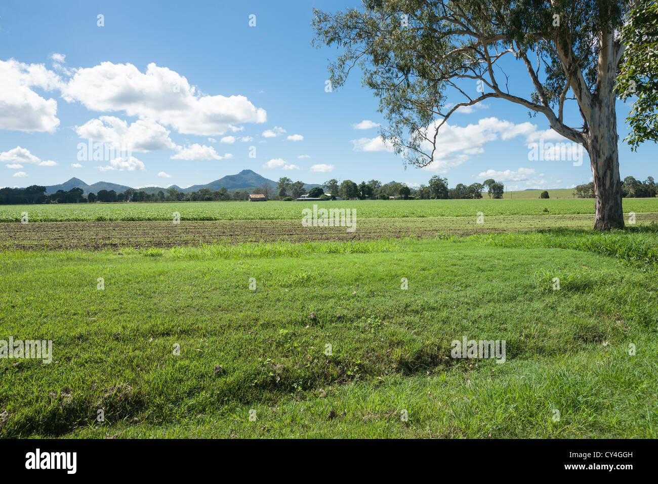 Australian rural landscape hi-res stock photography and images - Alamy