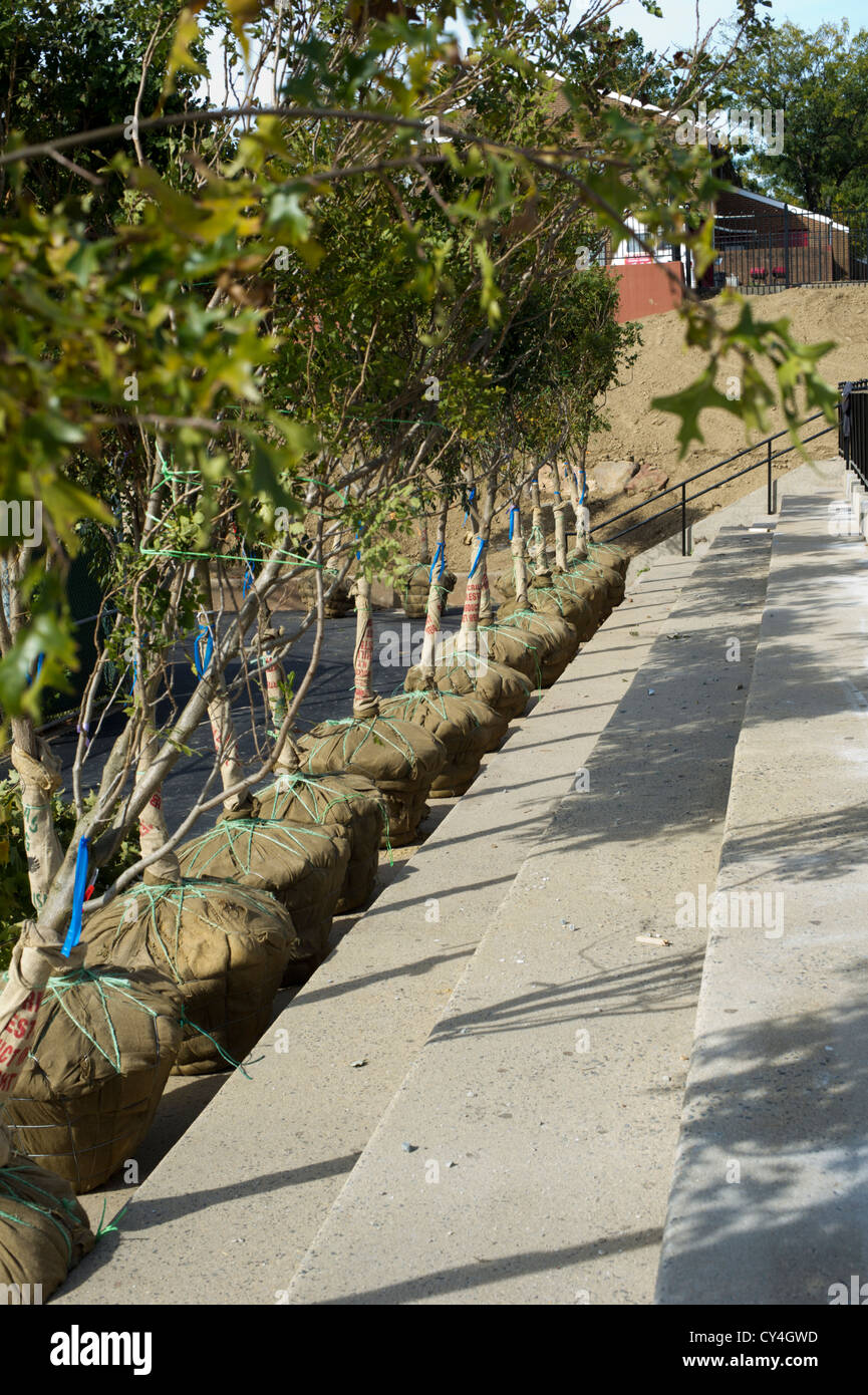 Unplanted hi-res stock photography and images - Alamy