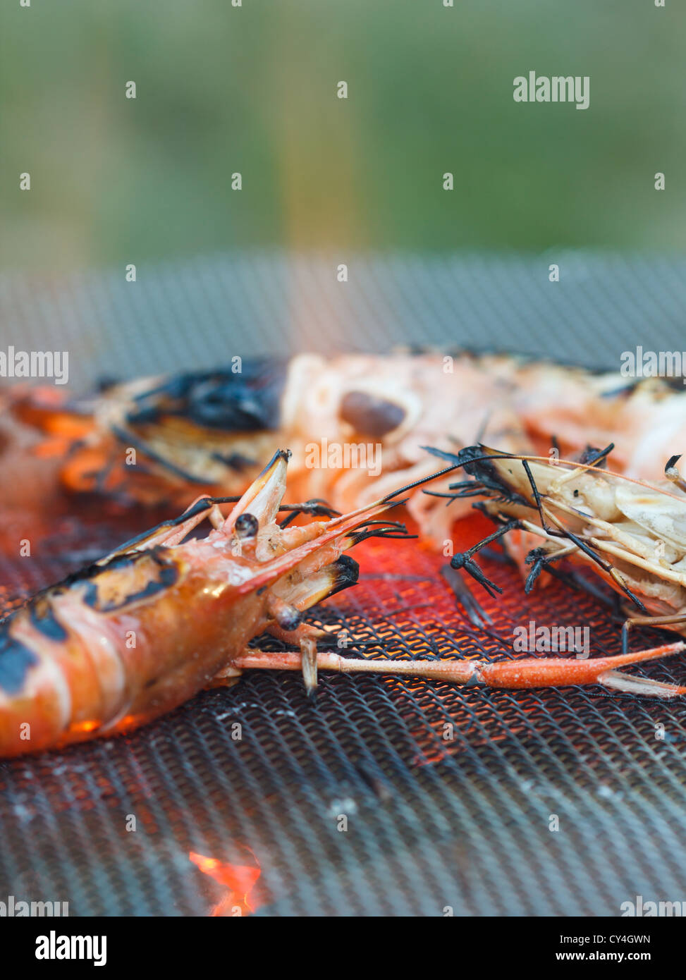 Shrim hi-res stock photography and images - Alamy